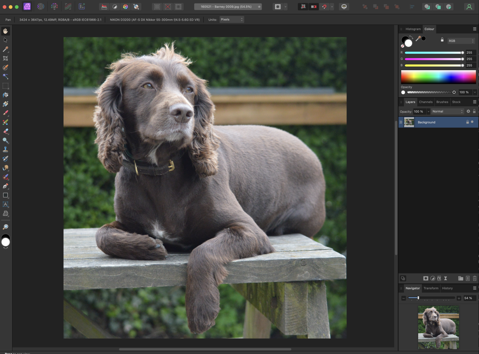 Embedded Developer » Blog Archive Photo to Pencil Drawing With Affinity ...