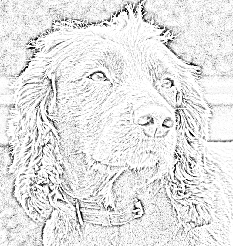 Embedded Developer » Blog Archive Image post levels adjustment - Embedded Developer