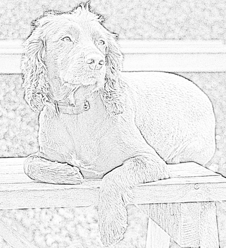 Embedded Developer » Blog Archive Final Image - Embedded Developer